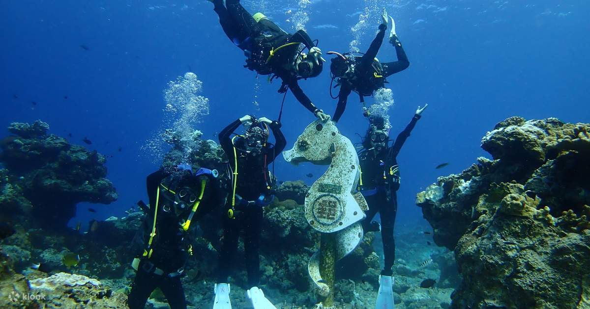 綠島｜火燒島潛水｜PADI OW・AOW・自由潛水考照・體驗潛水・旅遊潛水 - Klook香港
